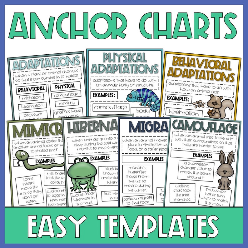 Animal Adaptations Activities | Hibernation Migration and Camouflage ...