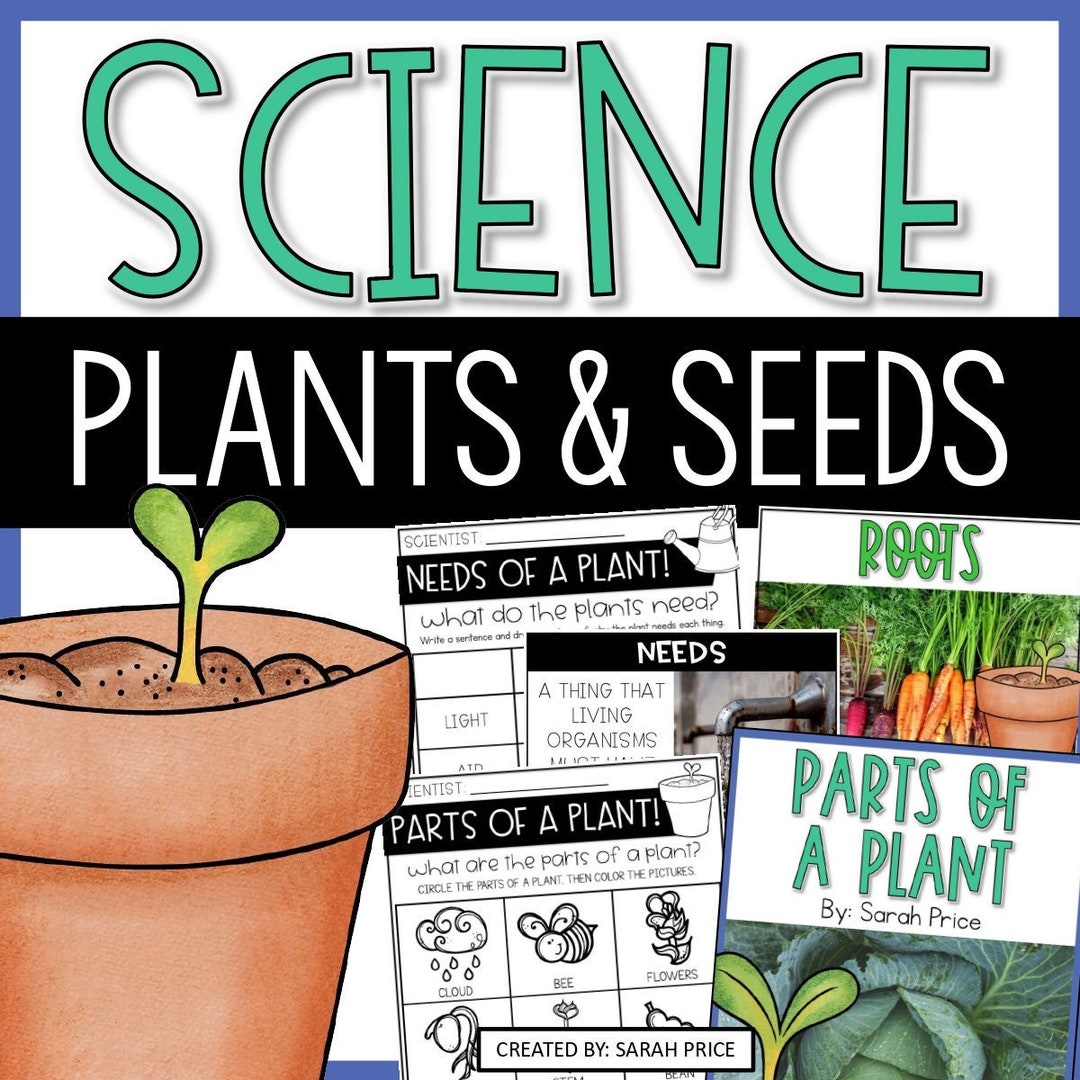 All About Plants Activities Parts of Seeds Plants Needs of Plants ...