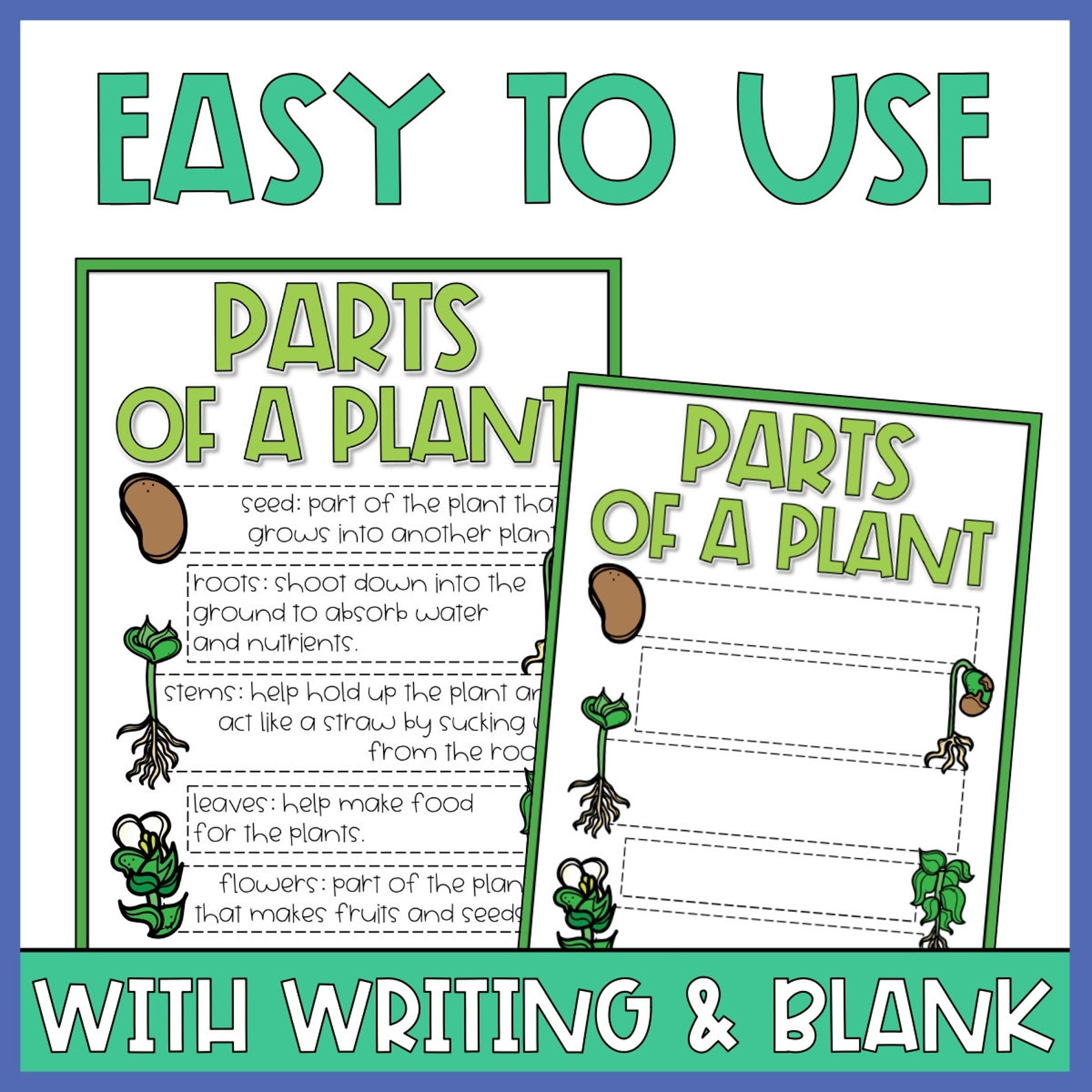 All About Plants Anchor Charts | Parts of Seeds | Needs of Plants ...