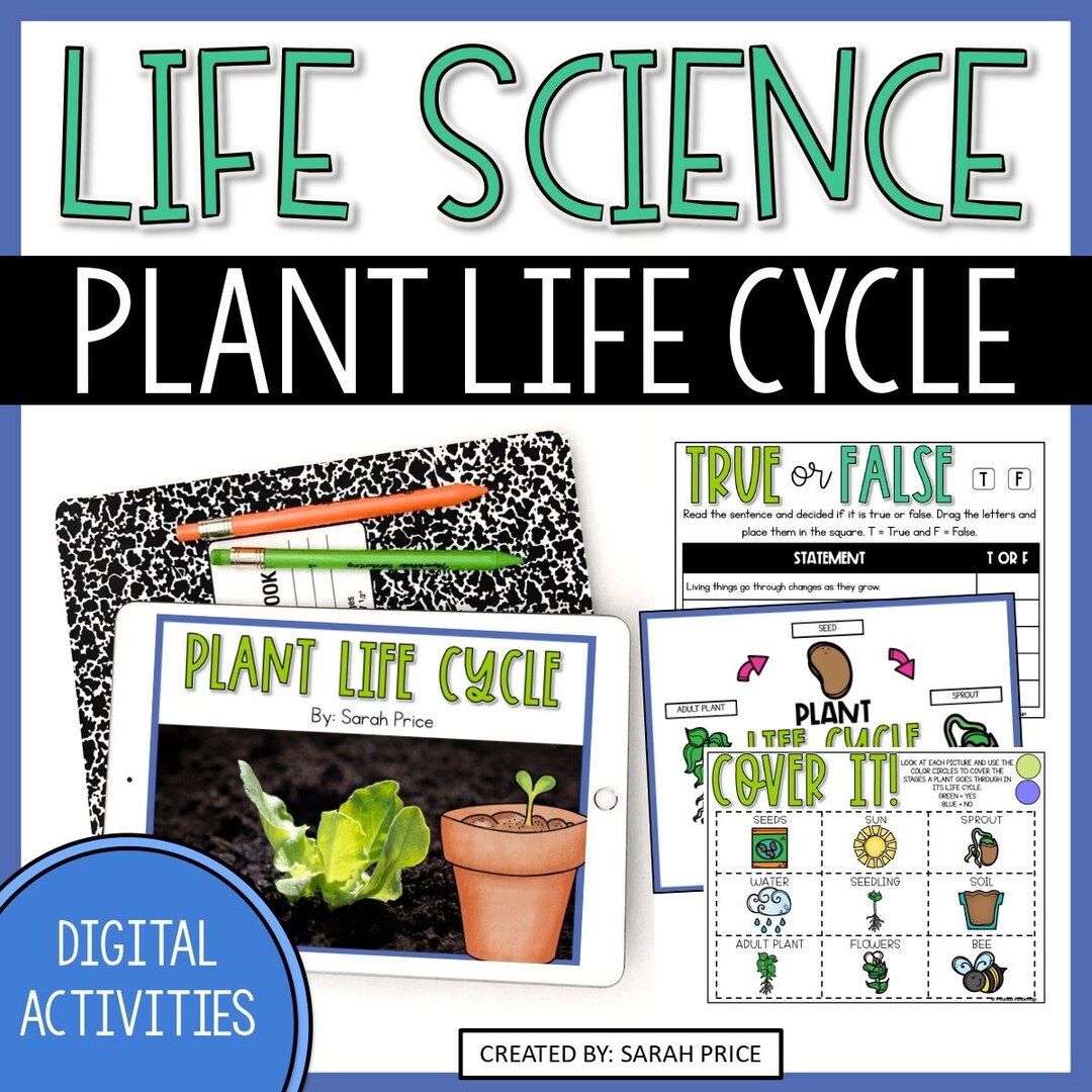 Plant Life Cycle Google Slides - 2nd & 3rd Grade Digital Science ...