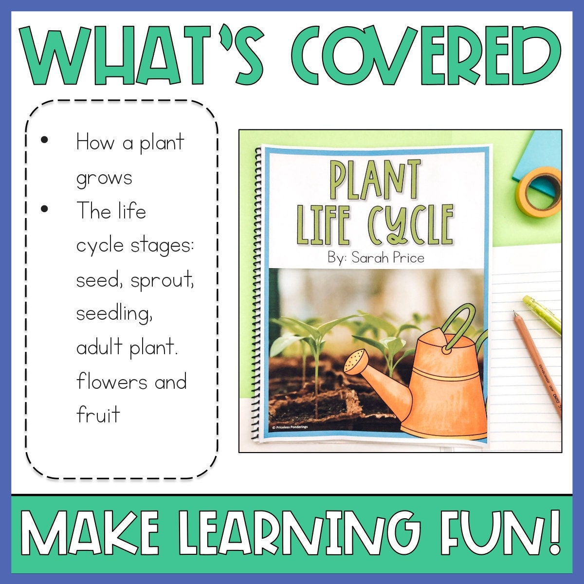 Plant Life Cycle Activities and Worksheets - Etsy
