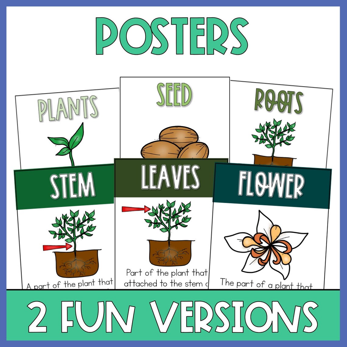 All About Plants Anchor Charts | Parts of Seeds | Needs of Plants ...