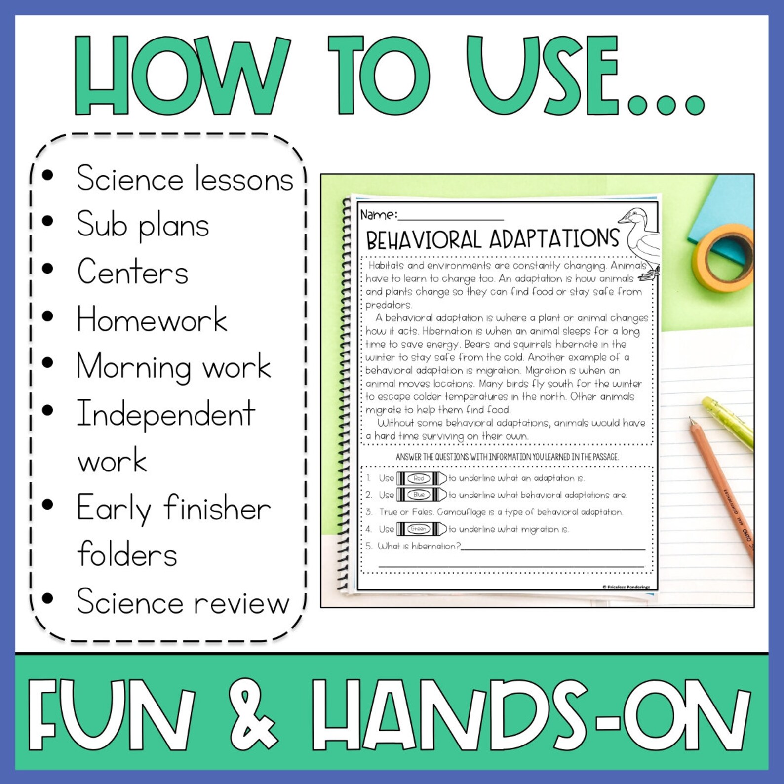 Animal Adaptations Activities | Hibernation Migration and Camouflage ...