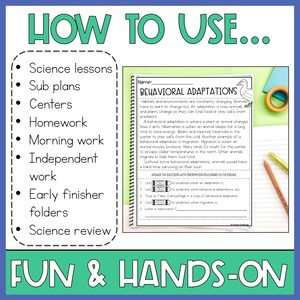 Animal Adaptations Activities | Hibernation Migration and Camouflage ...