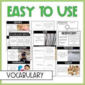 Five Senses Activities | Science Observations | 5 Senses Activities ...