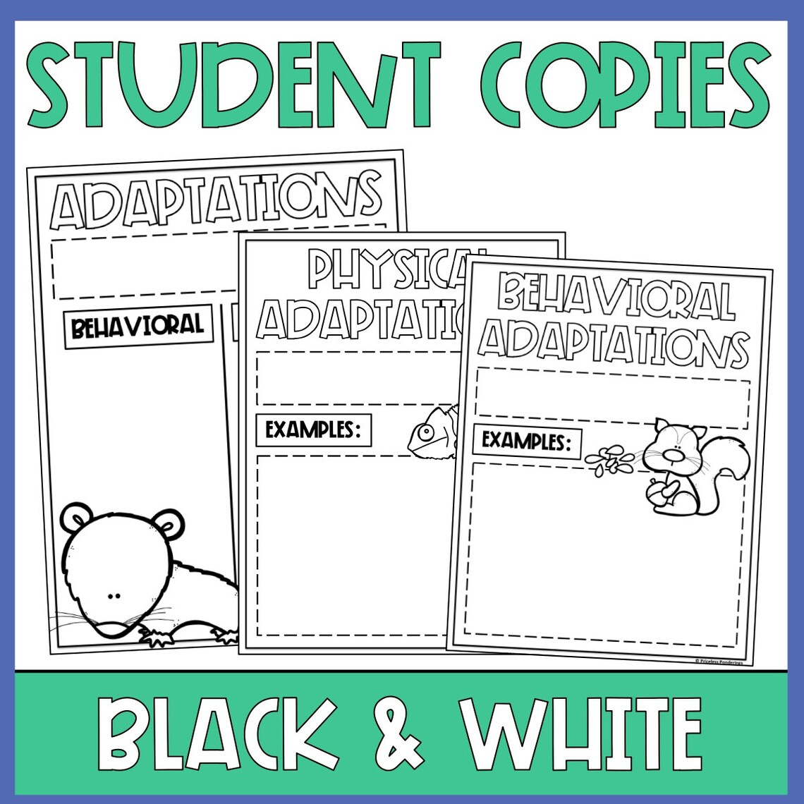 Animal Adaptations Science Anchor Charts and Life Science Posters for ...