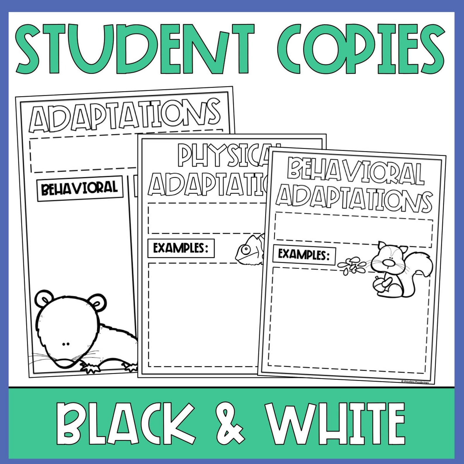 Animal Adaptations Science Anchor Charts and Life Science Posters for ...