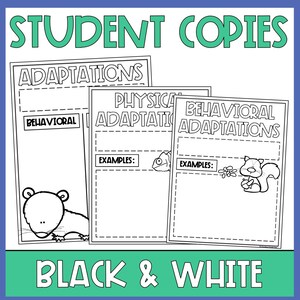 Animal Adaptations Science Anchor Charts and Life Science Posters for ...