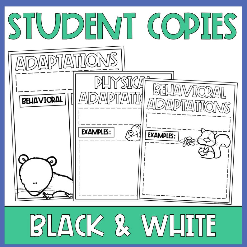 Animal Adaptations Science Anchor Charts and Life Science Posters for ...