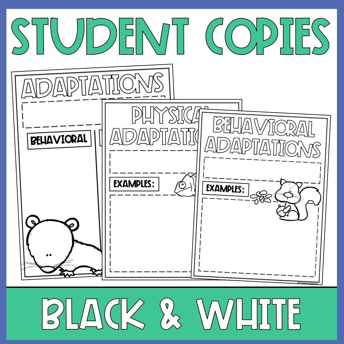 Animal Adaptations Science Anchor Charts and Life Science Posters for ...