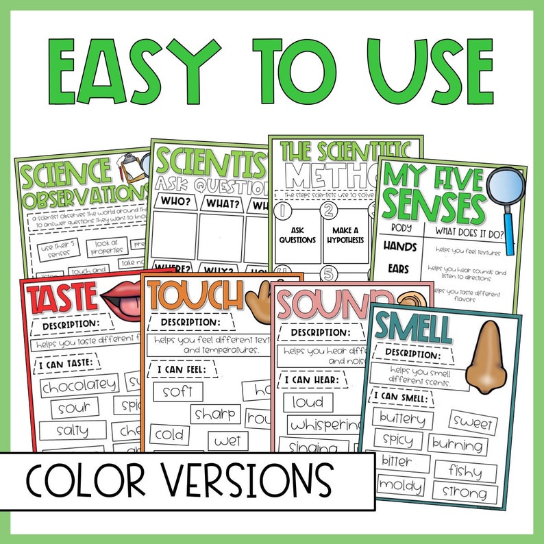 5 Senses Anchor Charts and Science Posters | Scientific Observations - Etsy