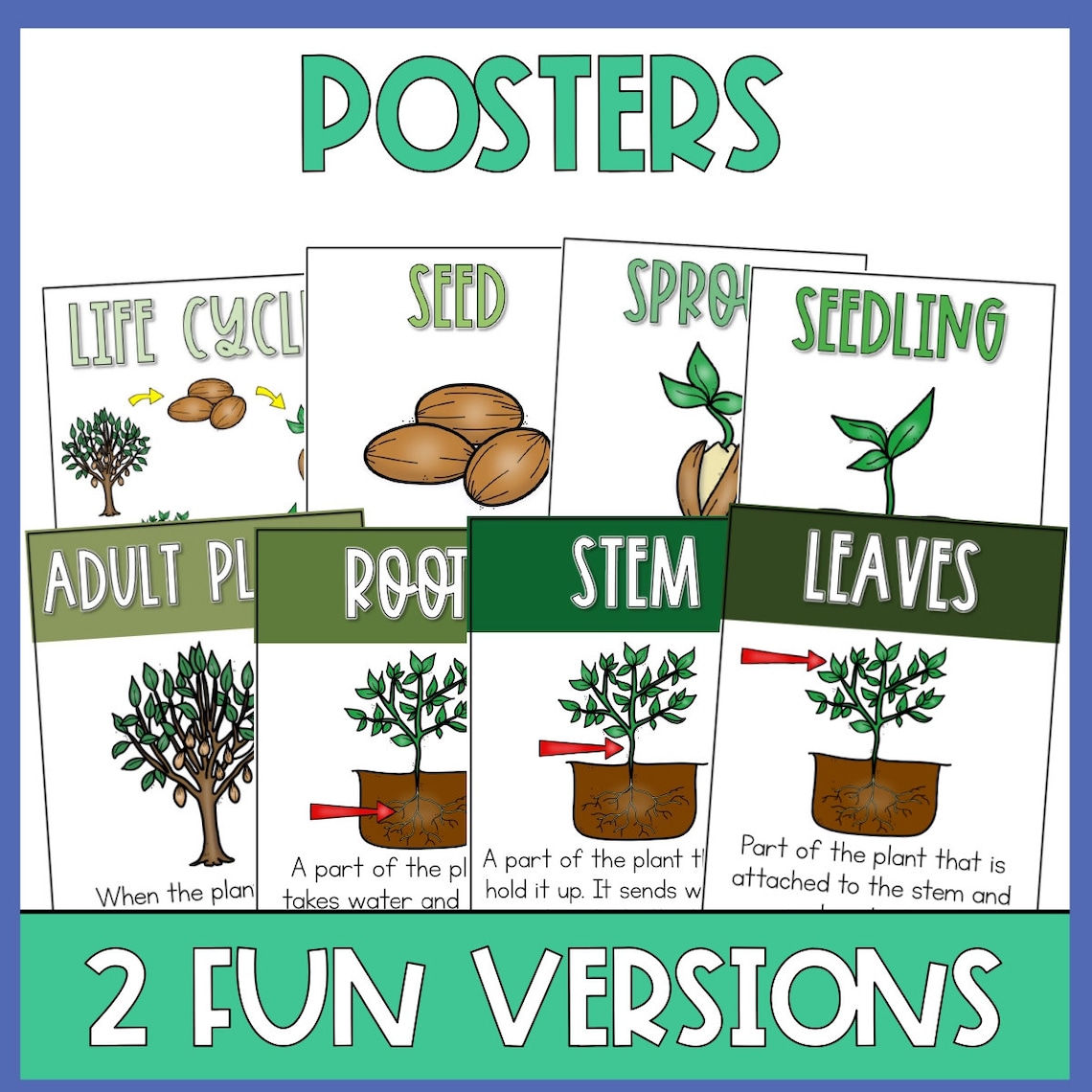 Life Cycle of a Plant Anchor Charts 2nd 3rd Grade Life Science Posters ...
