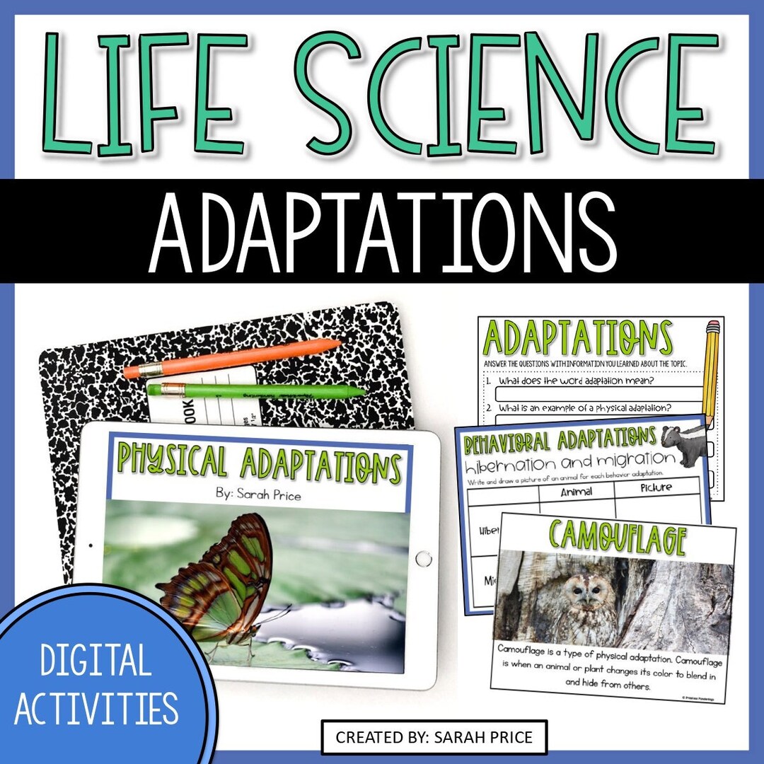 Animal Adaptations Digital Activities for Google Slides - Etsy