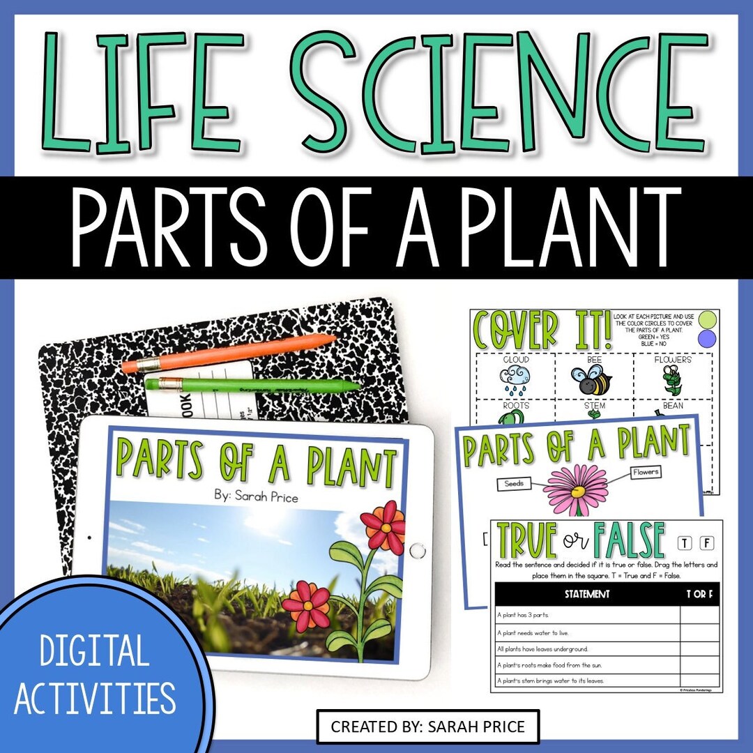 Parts of a Plant Google Slides - 2nd 3rd Grade Digital Science Lessons ...