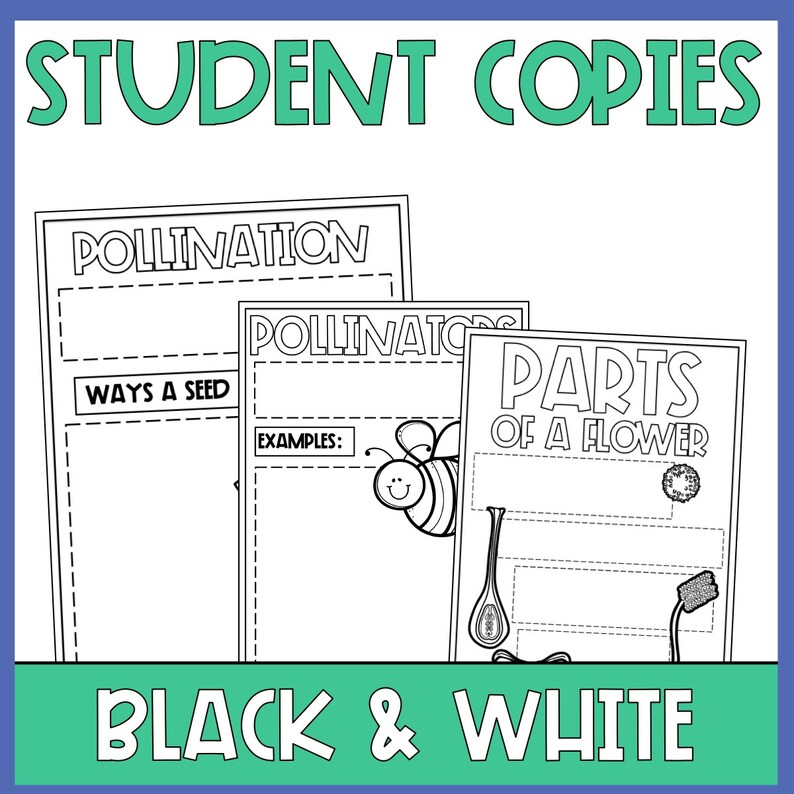 3rd Grade Science Anchor Charts Parts of a Flower and Pollination ...