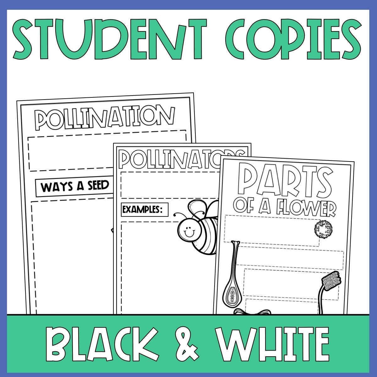 3rd Grade Science Anchor Charts Parts of a Flower and Pollination ...