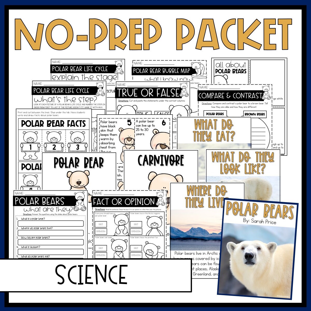 Polar Bear Activities - 2nd 3rd Grade January Science Math ELA ...