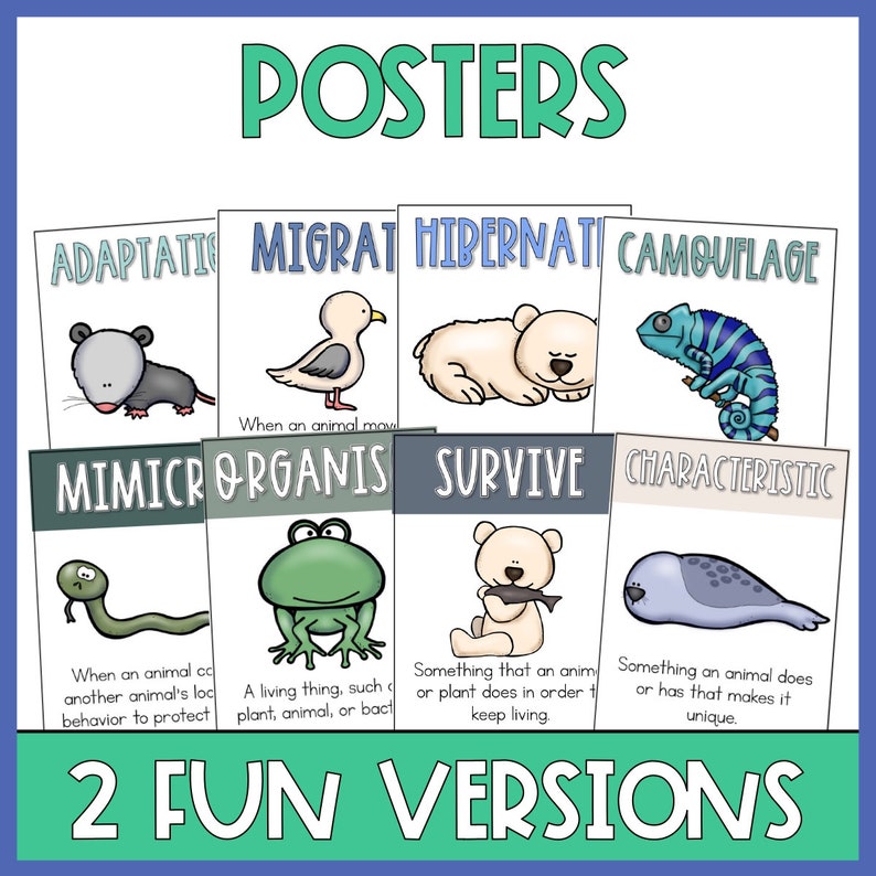 Animal Adaptations Activities | Hibernation Migration and Camouflage ...