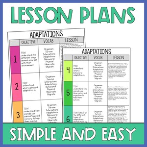 Animal Adaptations Activities | Hibernation Migration and Camouflage ...