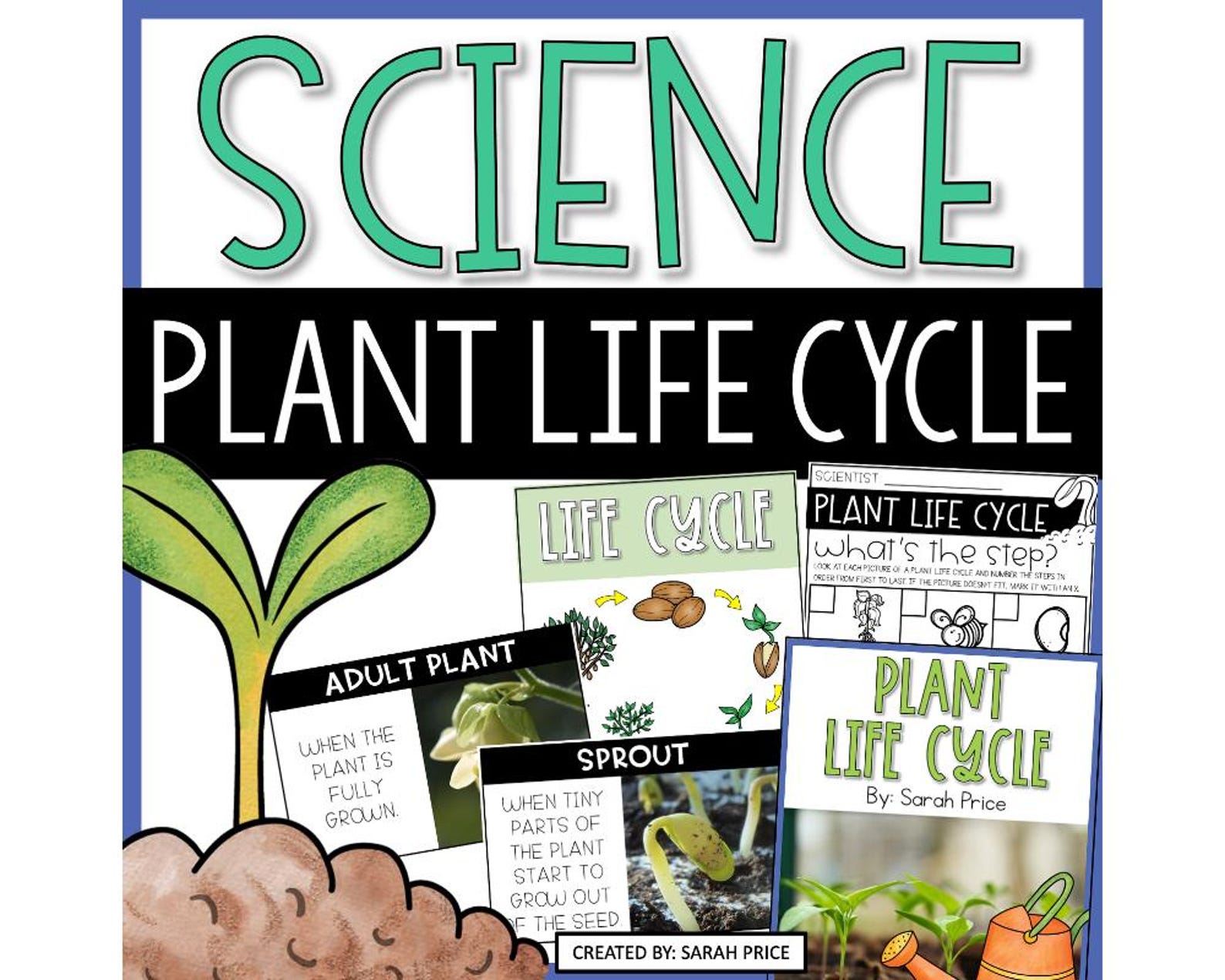 Plant Life Cycle Activities | Spring Science Worksheets for Elementary ...
