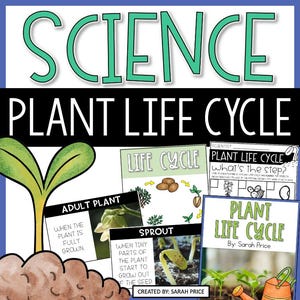Plant Life Cycle Activities | Spring Science Worksheets for Elementary ...