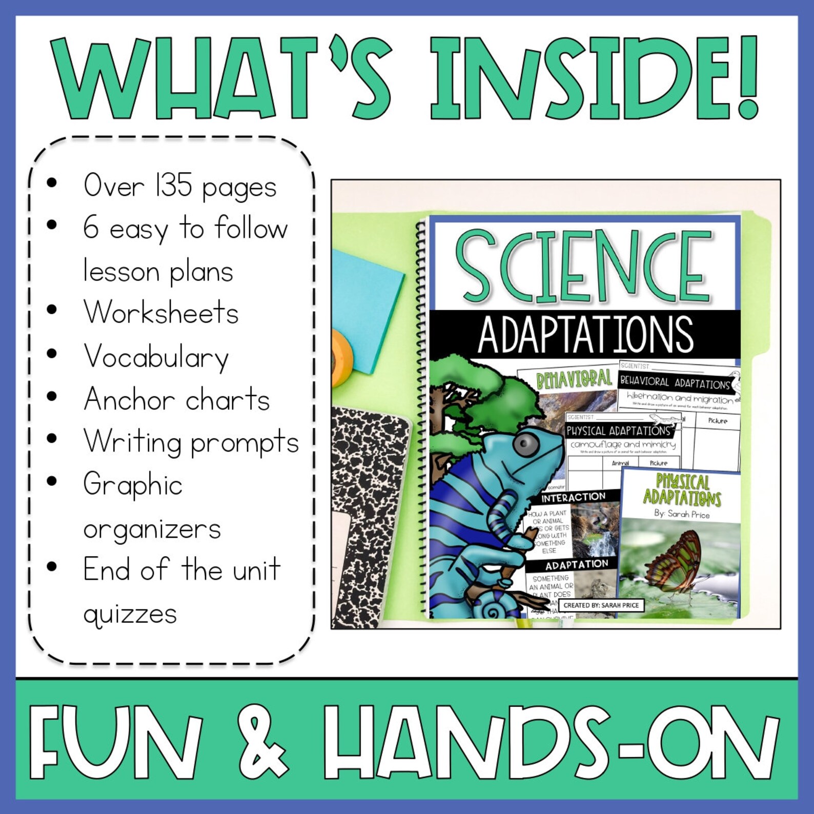 Animal Adaptations Activities | Hibernation Migration and Camouflage ...