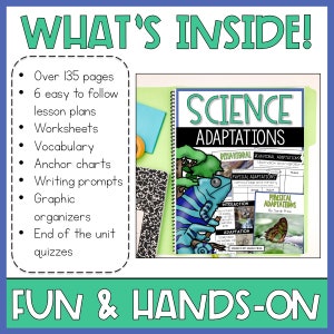 Animal Adaptations Activities | Hibernation Migration and Camouflage ...