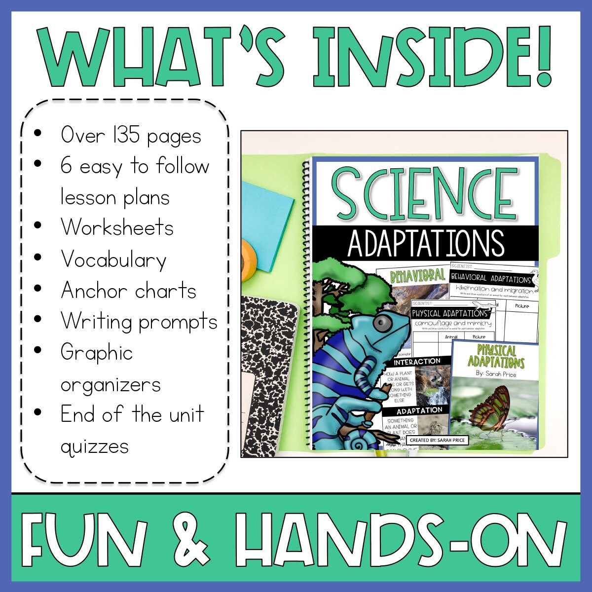 Animal Adaptations Activities | Hibernation Migration and Camouflage ...