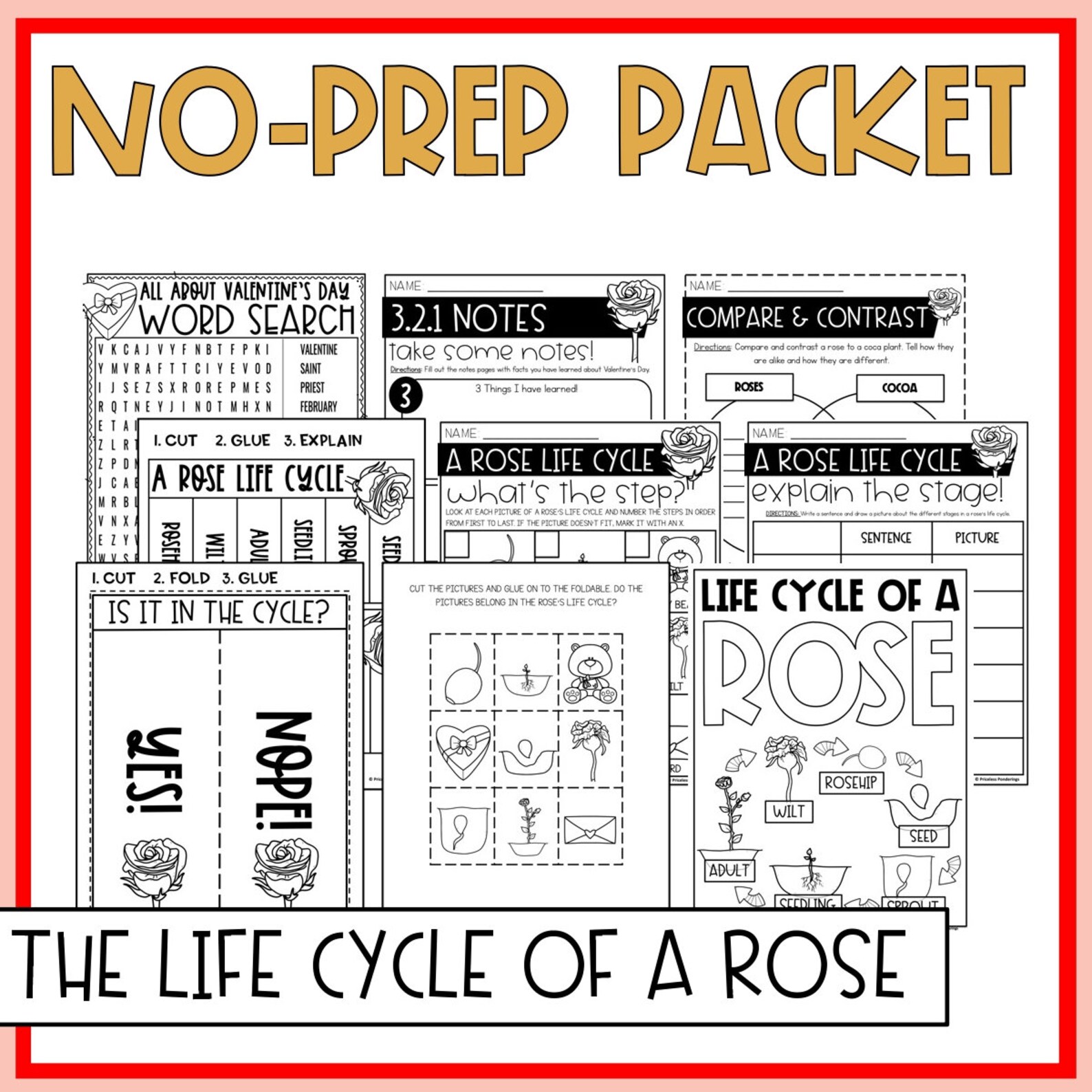 History of Valentines Day Life Cycle of a Rose - 2nd Grade February ...