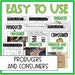 2nd Grade Economics Lessons - Producers Consumers Activities ...