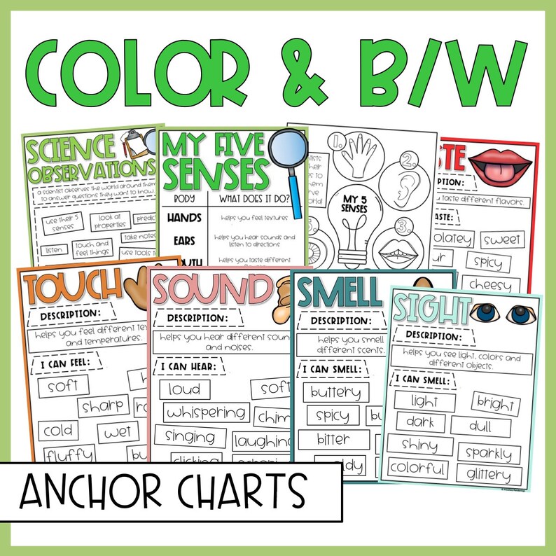 Five Senses Activities | Science Observations | 5 Senses Activities ...