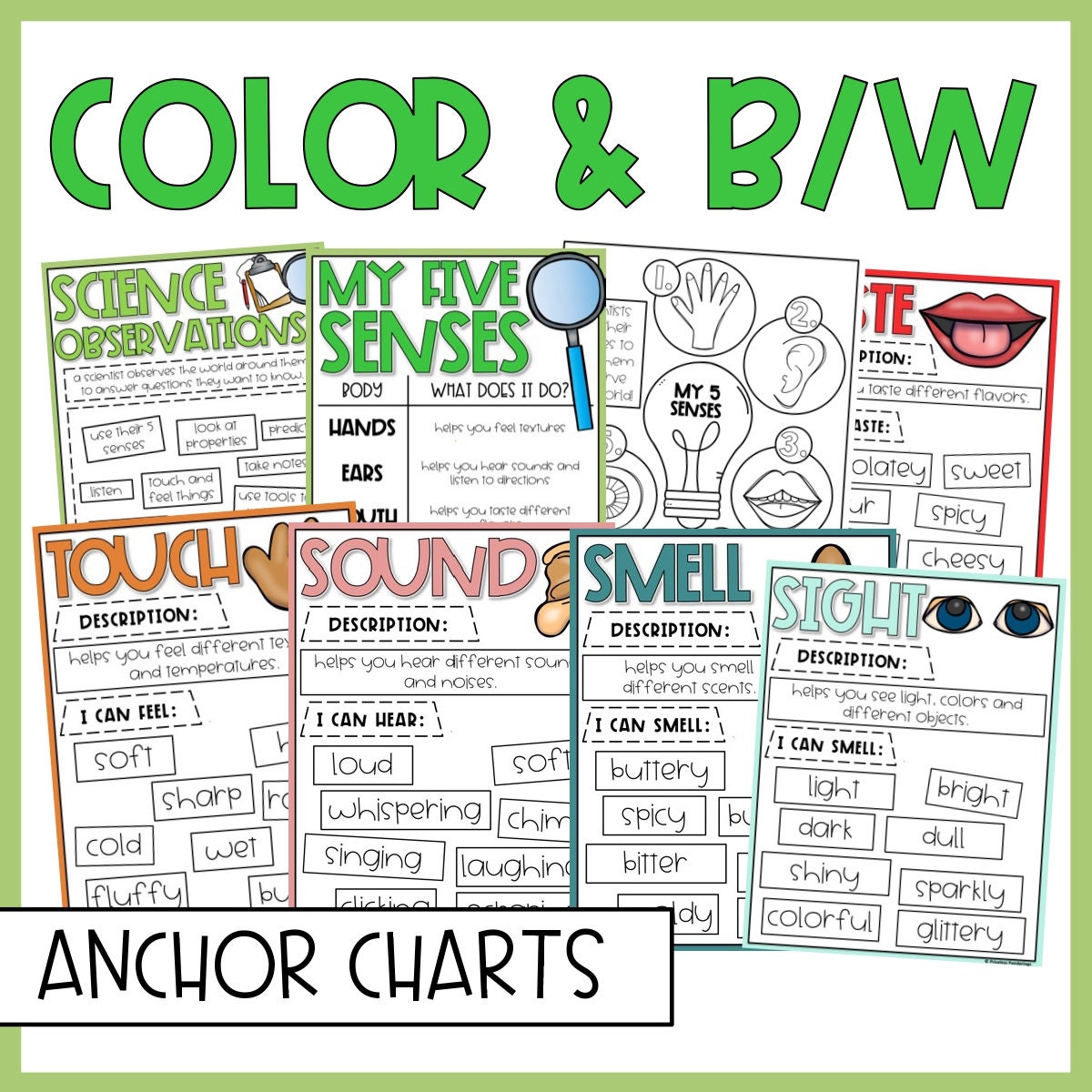 Five Senses Activities | Science Observations | 5 Senses Activities ...