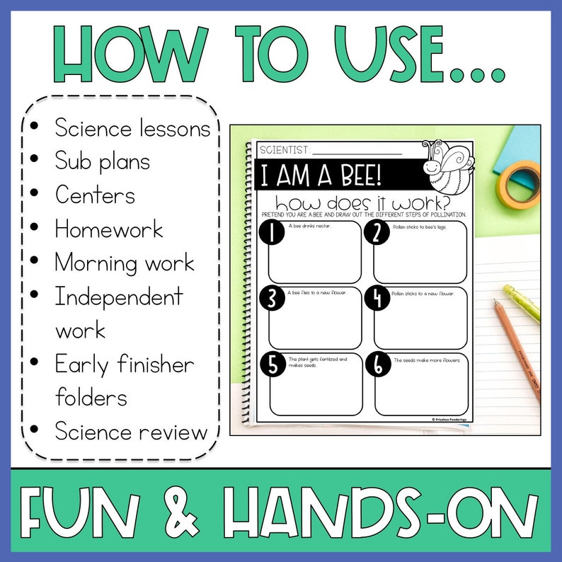 3rd Grade Science Plants Unit Parts of a Flower and Pollination - Etsy