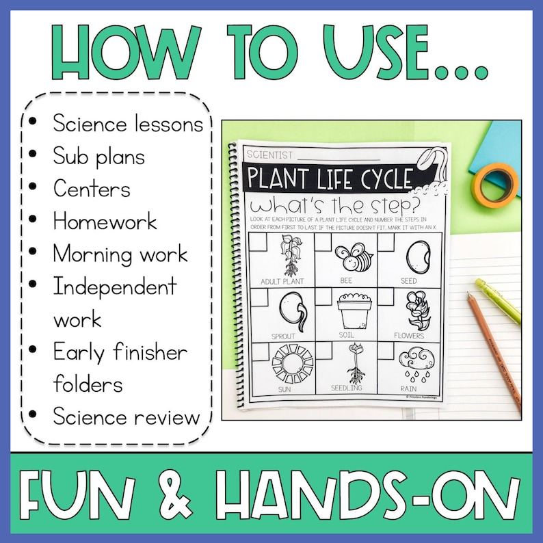 Plant Life Cycle Activities | Spring Science Worksheets for Elementary ...