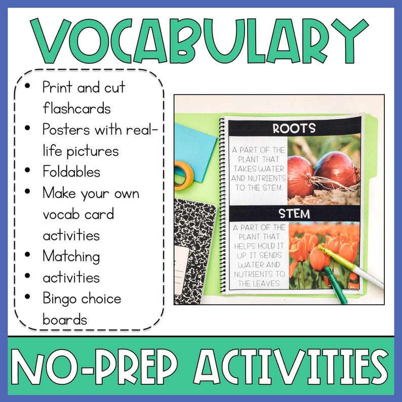 Plant Life Cycle Activities | Spring Science Worksheets for Elementary ...