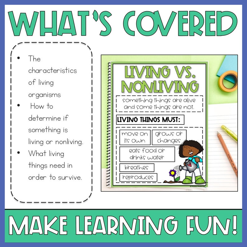 1st 2nd Grade Life Science Living Non-living Things Activities Lessons ...