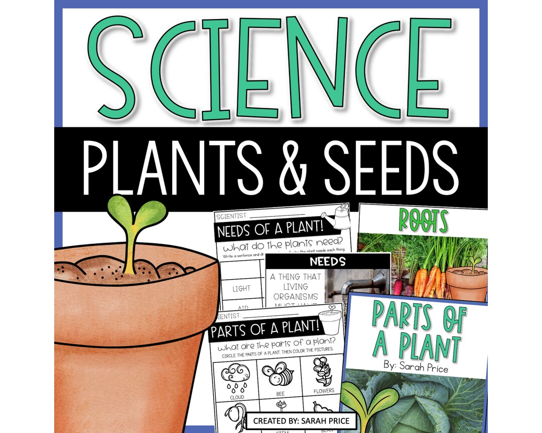 All About Plants Activities | Parts of Seeds Plants | Needs of Plants ...