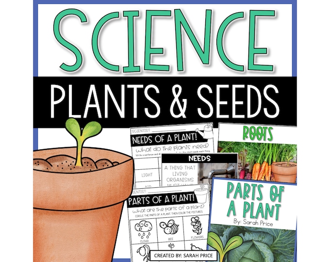 Life Cycle of a Plant Anchor Charts - 2nd 3rd Grade Life Science ...