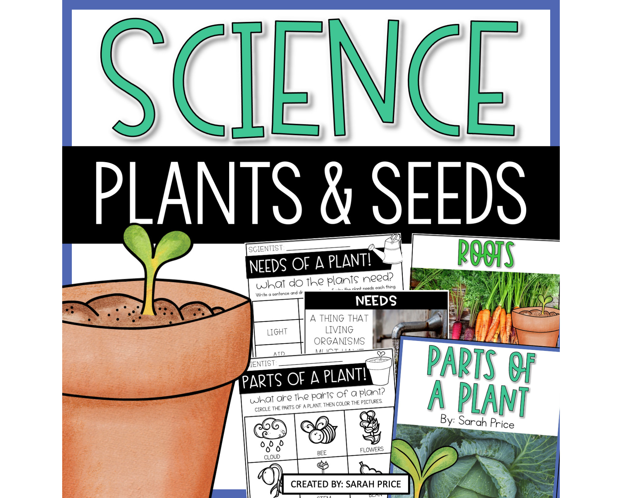 All About Plants Activities | Parts of Seeds Plants | Needs of Plants ...