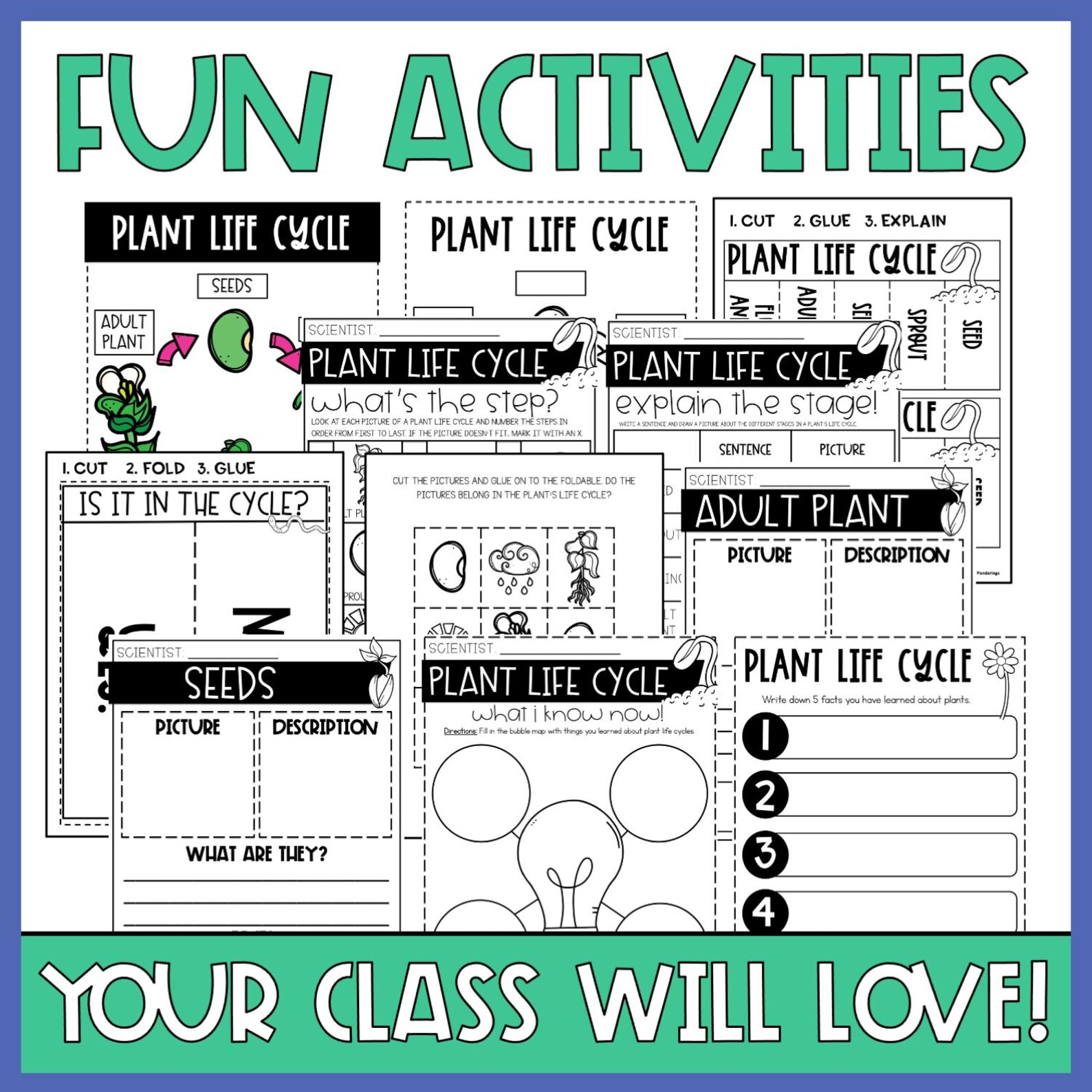 Plant Life Cycle Activities | Spring Science Worksheets for Elementary ...