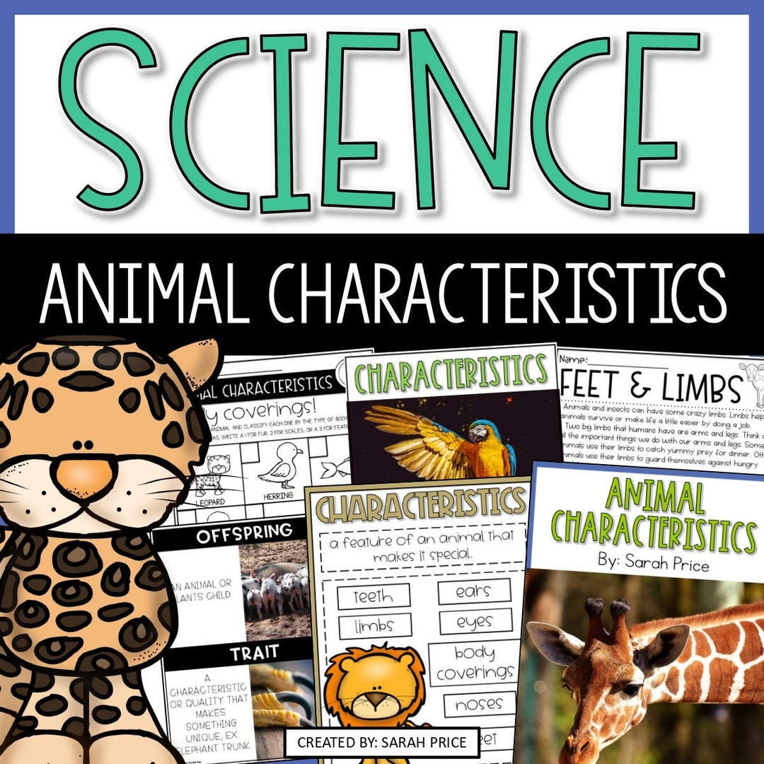 Animal Characteristics Activities Worksheets - 2nd Grade Life Science ...