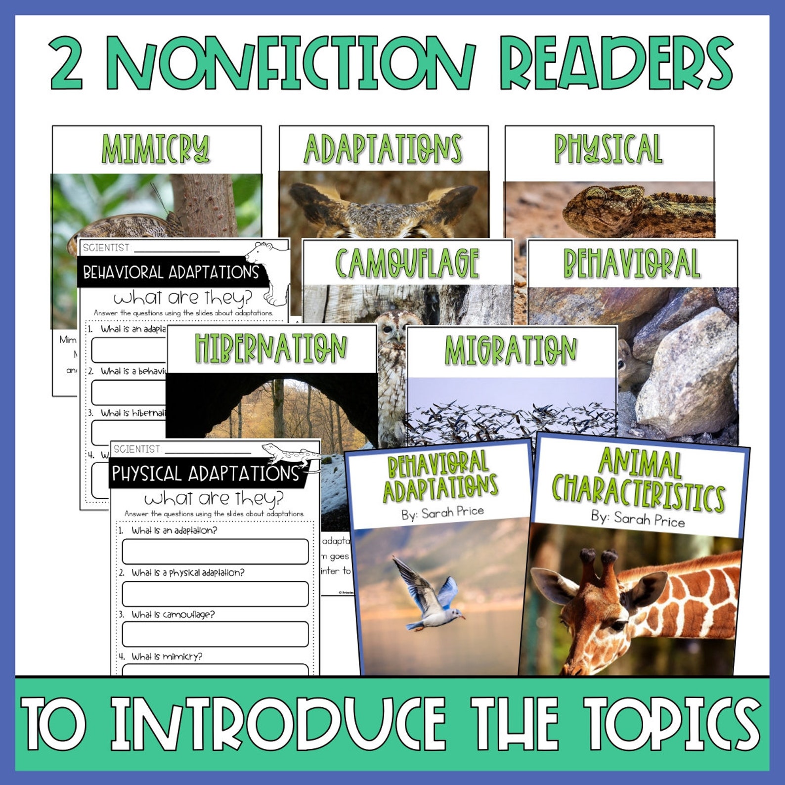 Animal Adaptations Activities | Hibernation Migration and Camouflage ...