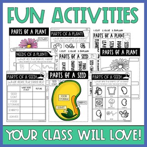 All About Plants Activities | Parts of Seeds Plants | Needs of Plants ...