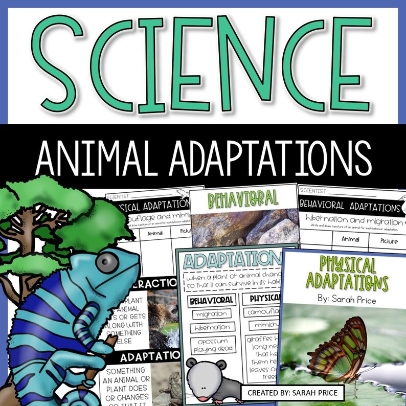 Animal Adaptations Activities Hibernation Migration Camouflage for 3rd ...