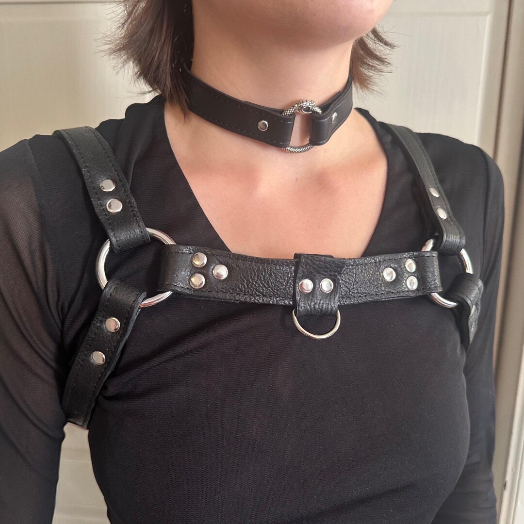 DOVES Bulldog Harness - Etsy