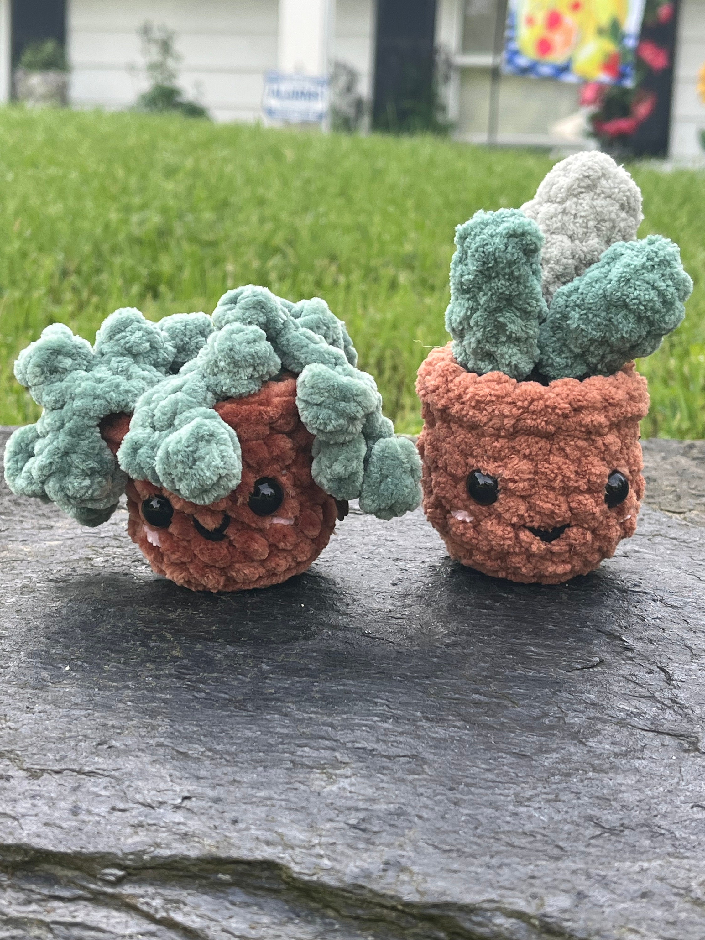 Crochet Mini Plants - Etsy
