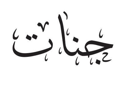Arabic Calligraphy Names in Fancy Arabic, for Clothes, Frames ...