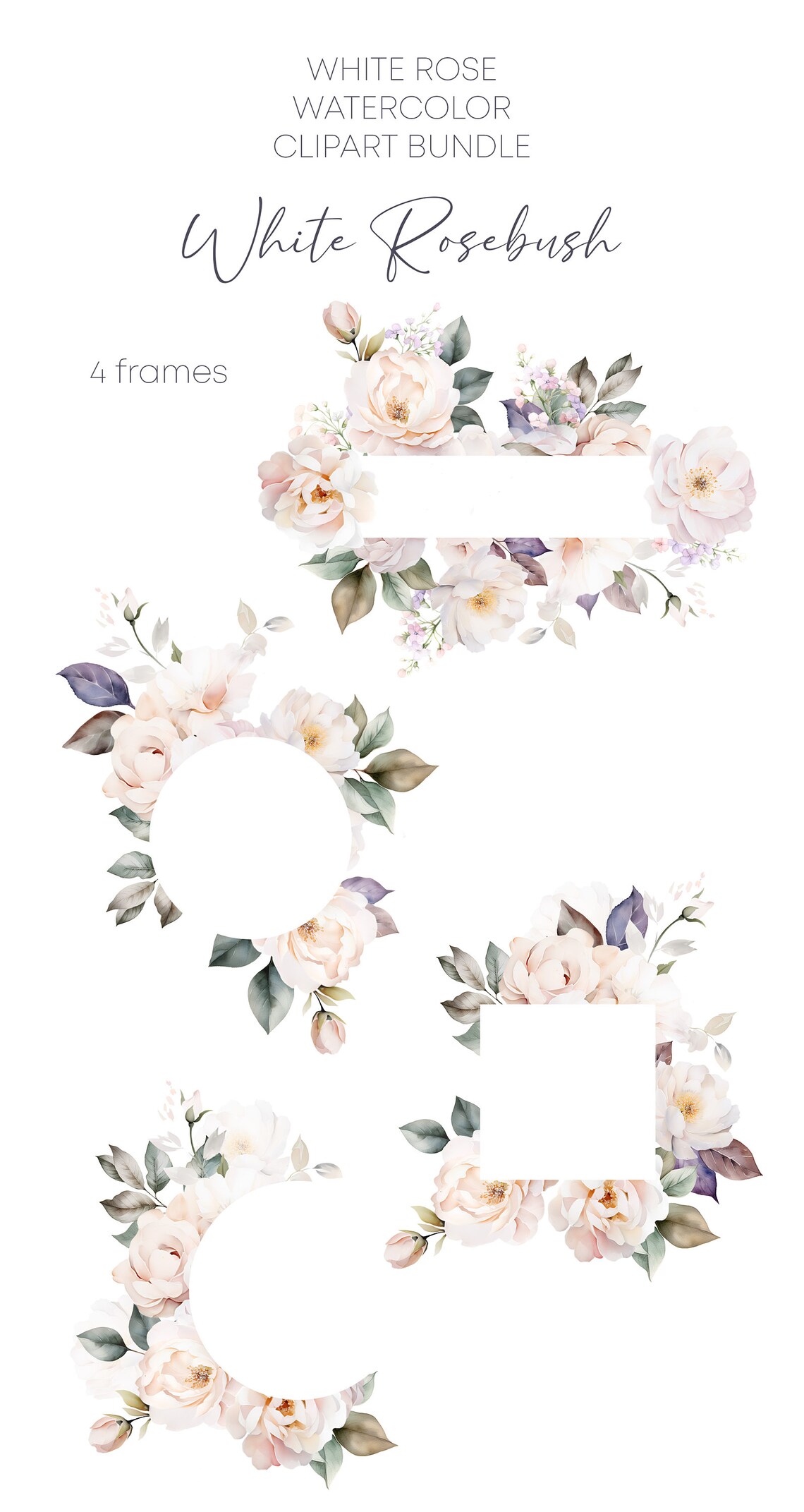 Watercolor Floral Clipart, Watercolor White Roses Clipart, White Rose ...