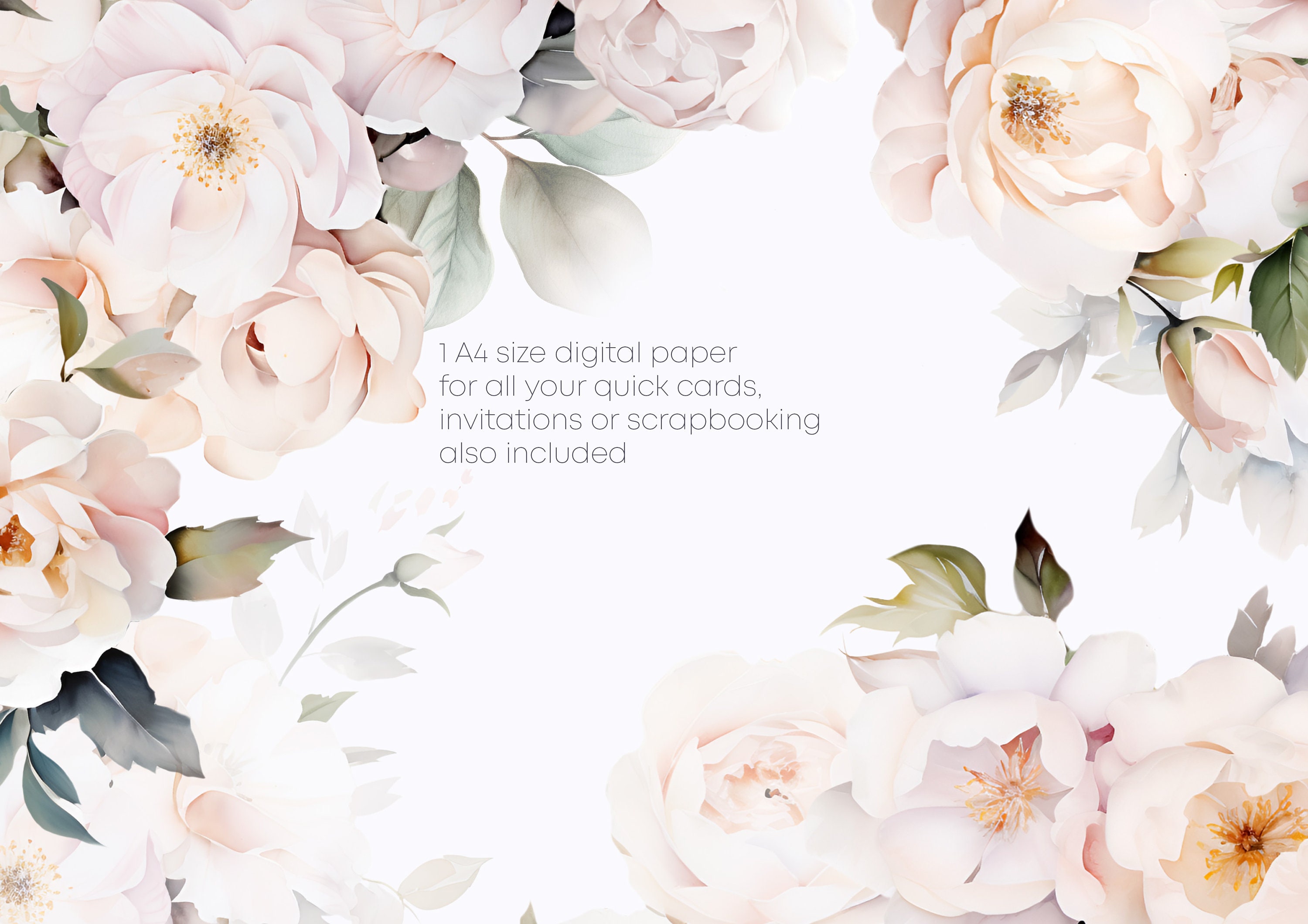 Watercolor Floral Clipart, Watercolor White Roses Clipart, White Rose ...