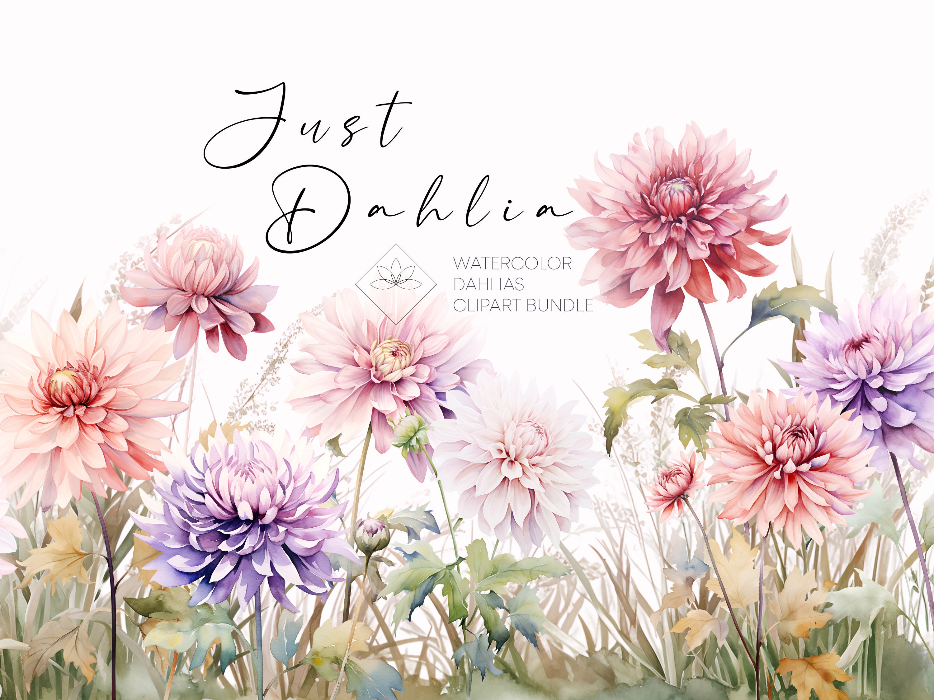 Watercolor Dahlia Flowers, Dahlia Flower Clipart, Dahlia Clipart ...